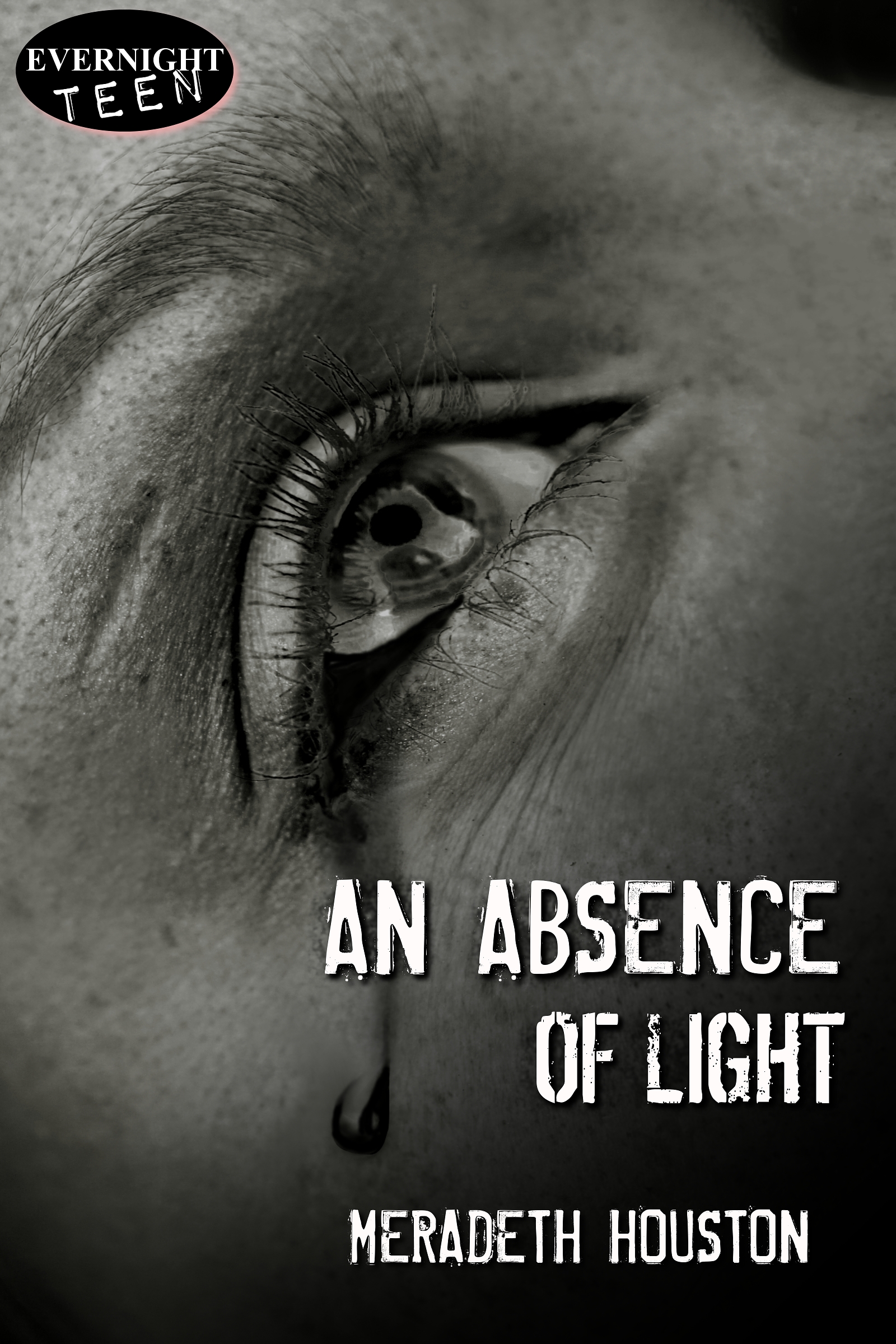 An Absence of Light – Meradeth Houston